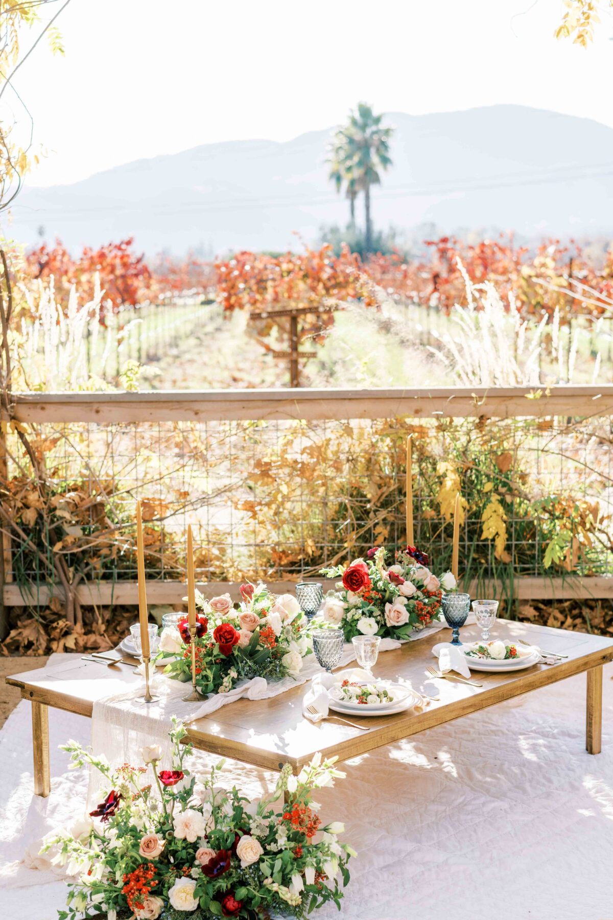Luxury Holiday Picnic in Napa Valley - Shenska